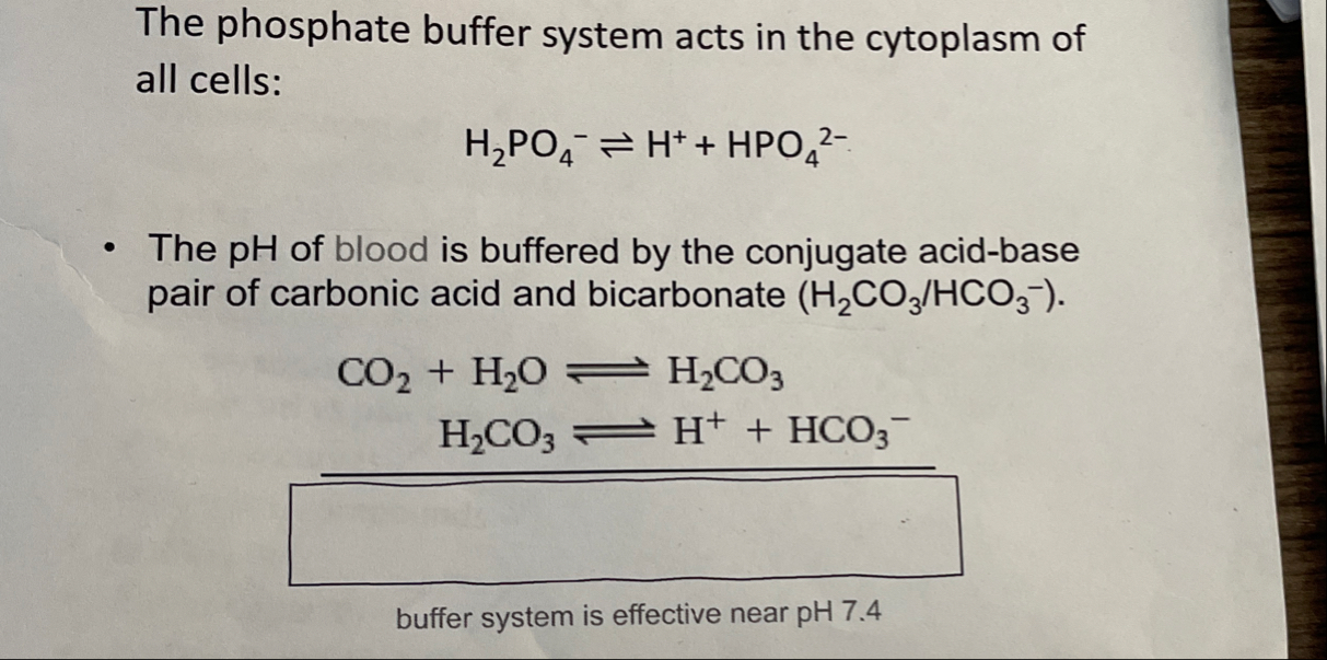 Solved The phosphate buffer system acts in the cytoplasm of | Chegg.com