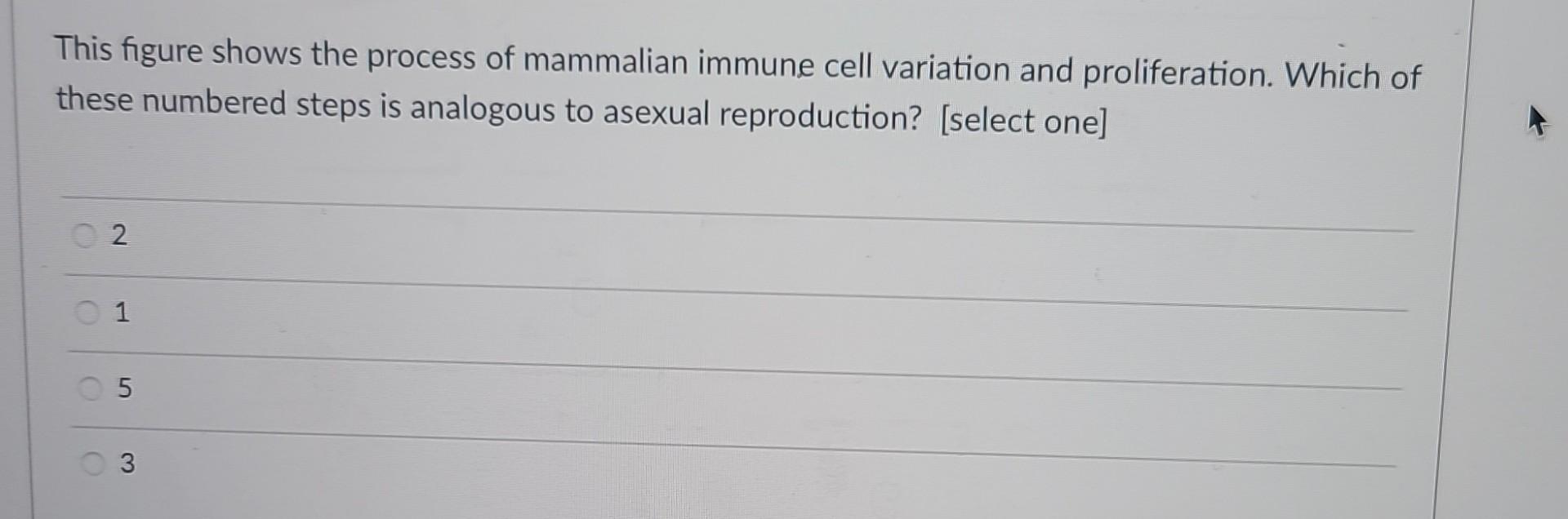 Solved Inis ngure snows the process of mammalian immune cell | Chegg.com