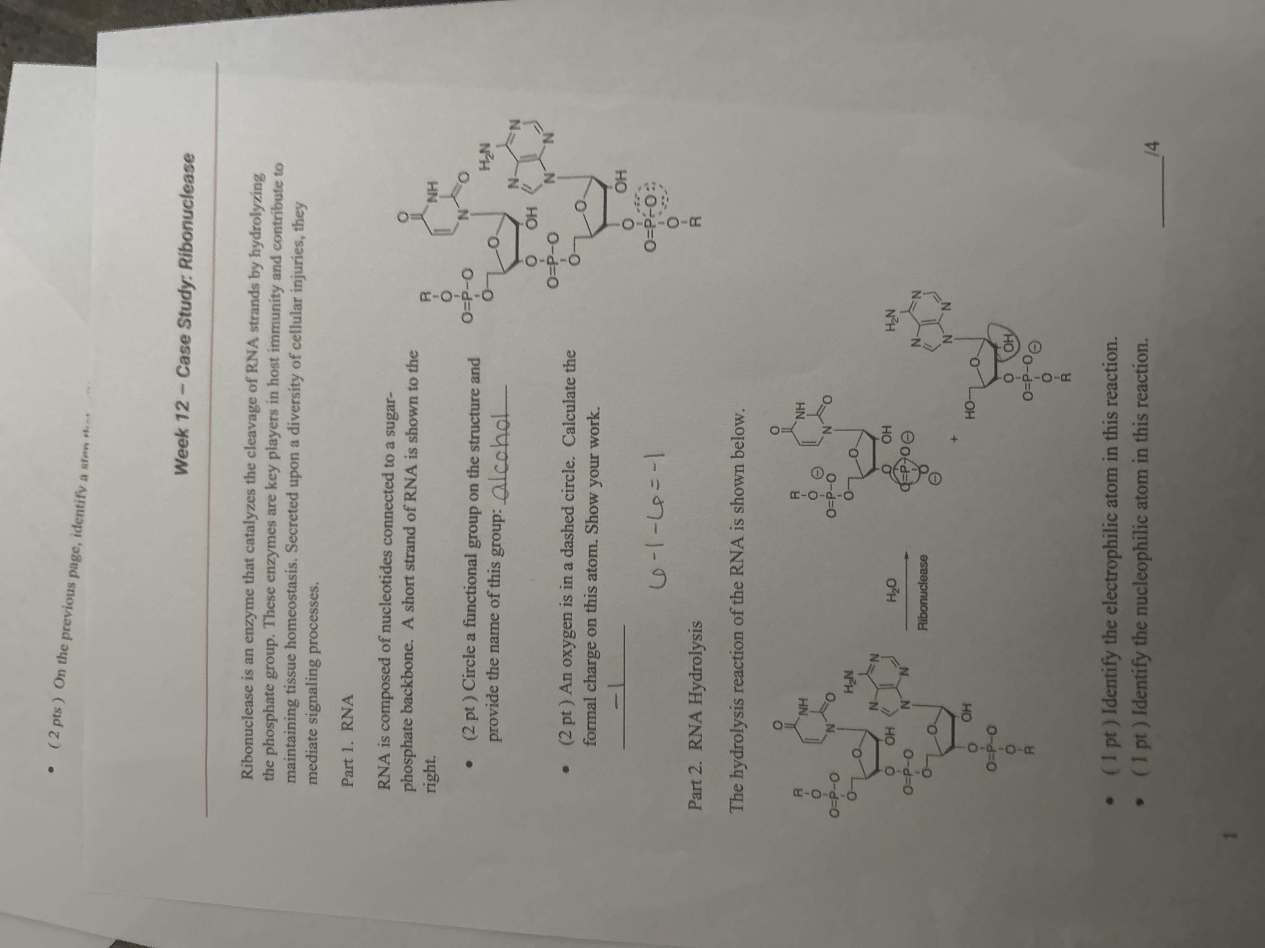 Solved Week 12 - ﻿Case Study: RibonucleaseRibonuclease is an | Chegg.com