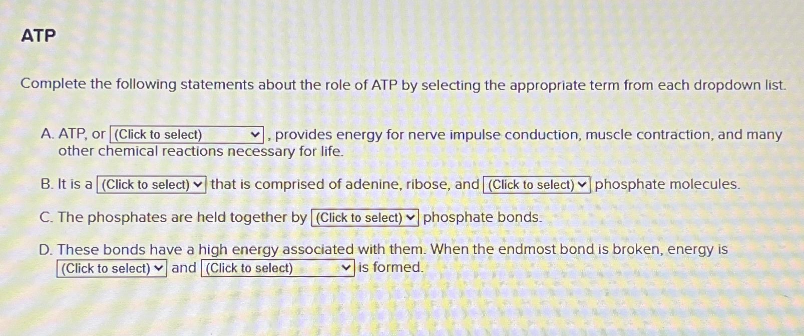 Solved ATPComplete the following statements about the role | Chegg.com
