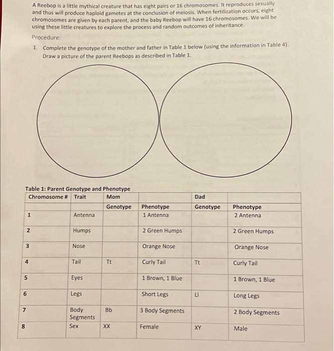 A Reebop is a little mythical creature that has eight | Chegg.com