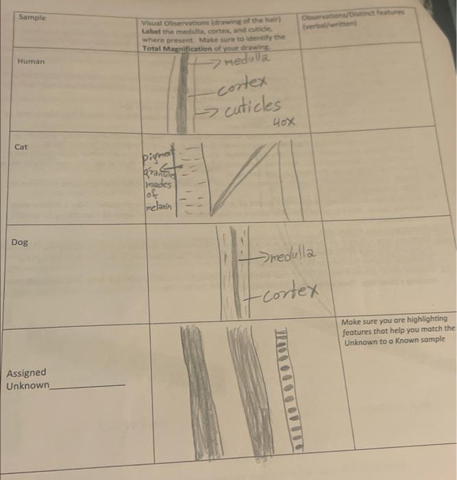 Solved 1, using the guidelines above, summarize the results | Chegg.com
