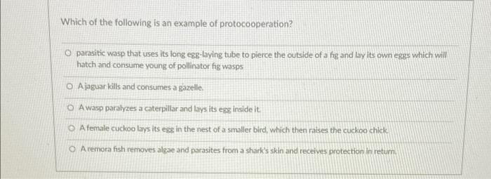 Solved Which of the following is an example of | Chegg.com
