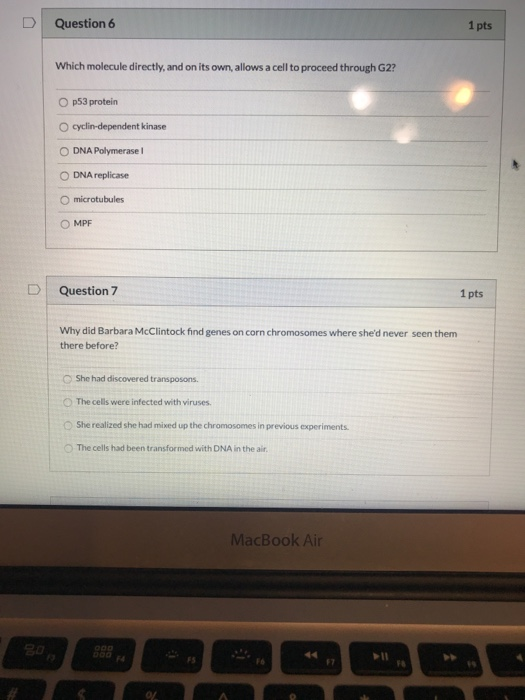 Solved D Question 6 1 pts Which molecule directly, and on | Chegg.com