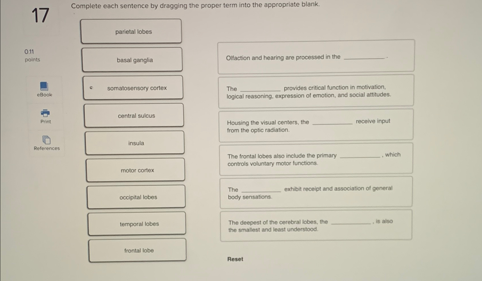 Solved Complete each sentence by dragging the proper term | Chegg.com