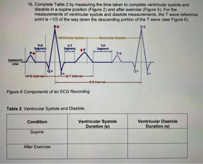 Solved Data Analysis Use the data in the ECG recordings | Chegg.com