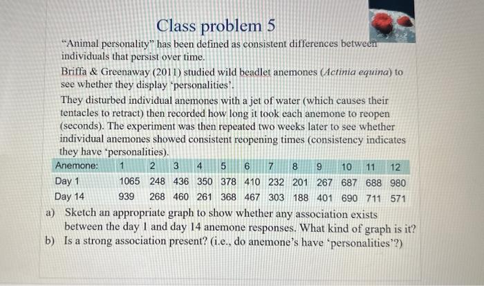 Solved Class problem 5 "Animal personality" has been defined | Chegg.com