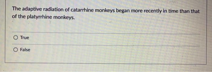 Solved The adaptive radiation of catarrhine monkeys began | Chegg.com