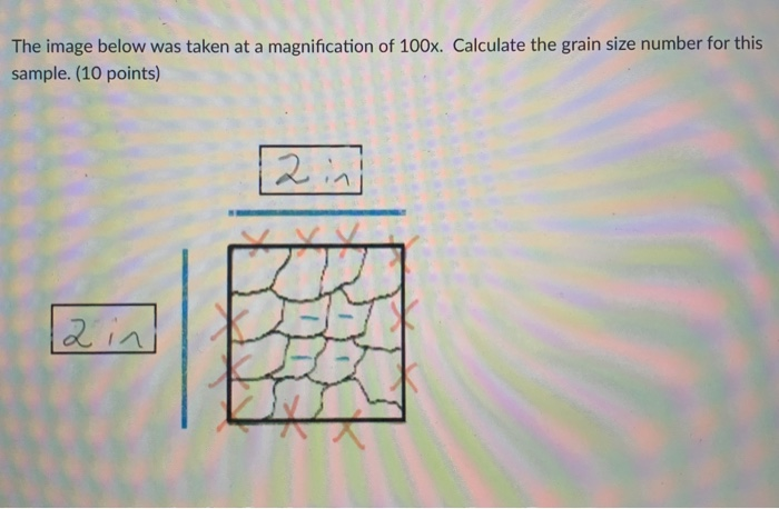Solved The image below was taken at a magnification of 100x. | Chegg.com