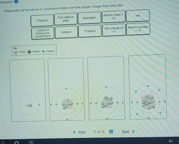 Solved mework Place each of the terms or conditions listed | Chegg.com