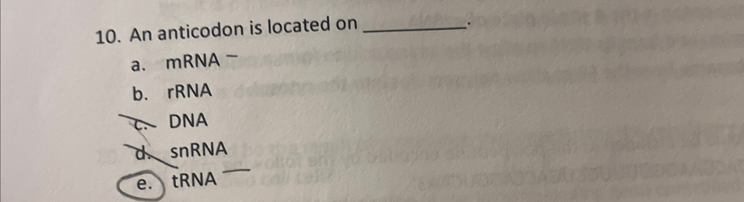 Solved An anticodon is located ona. ﻿MRNA -b. ﻿rRNAc. ﻿DNAd. | Chegg.com