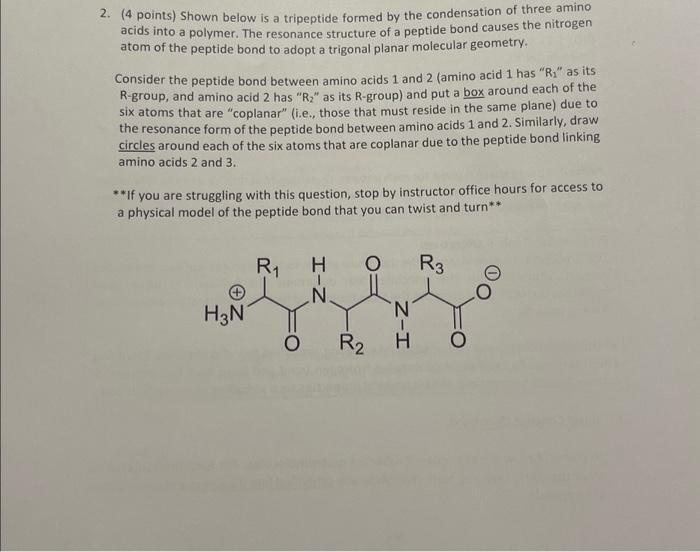 Solved Shown below is a tripeptide formed by the | Chegg.com