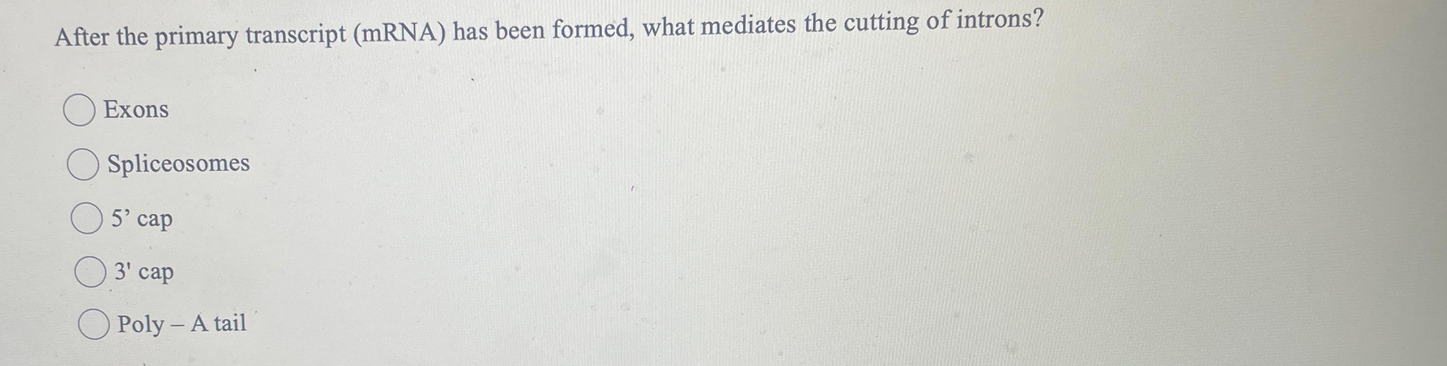 Solved After the primary transcript (mRNA) ﻿has been formed, | Chegg.com