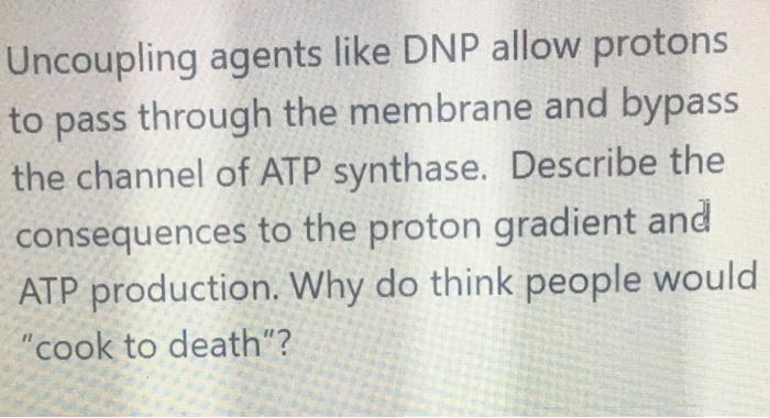 Solved Uncoupling agents like DNP allow protons to pass | Chegg.com
