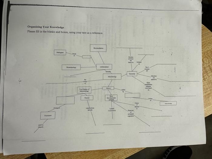 Solved Organizing Your Knowledge Please fill in the blanks | Chegg.com
