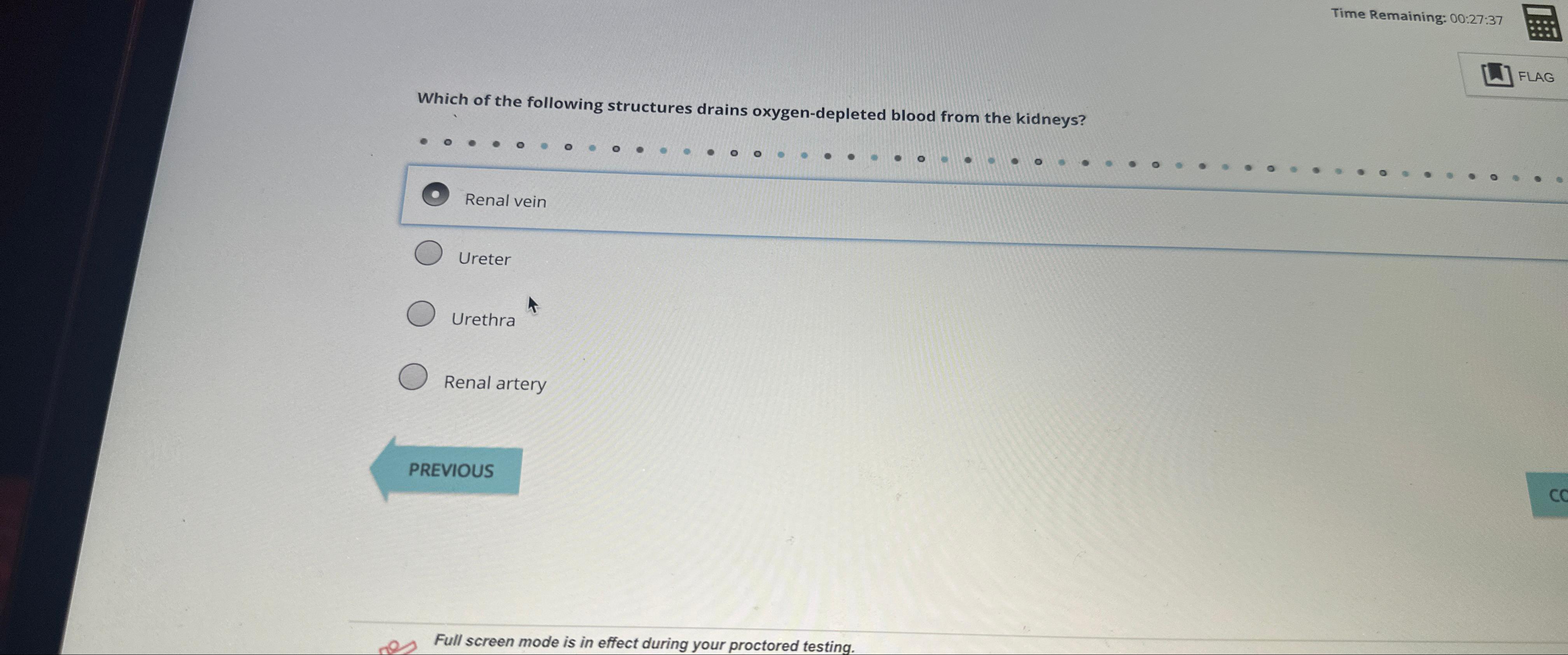 Solved Time Remaining: 00:27:37[W] ﻿FLAGWhich of the | Chegg.com