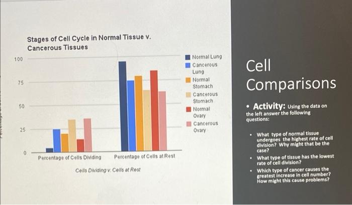 Solved Stages of Cell Cycle in Normal Tissue v. Cancerous | Chegg.com