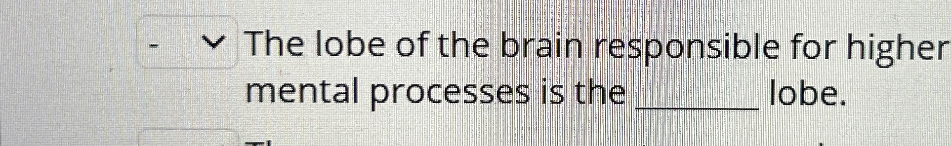 Solved The lobe of the brain responsible for higher mental | Chegg.com