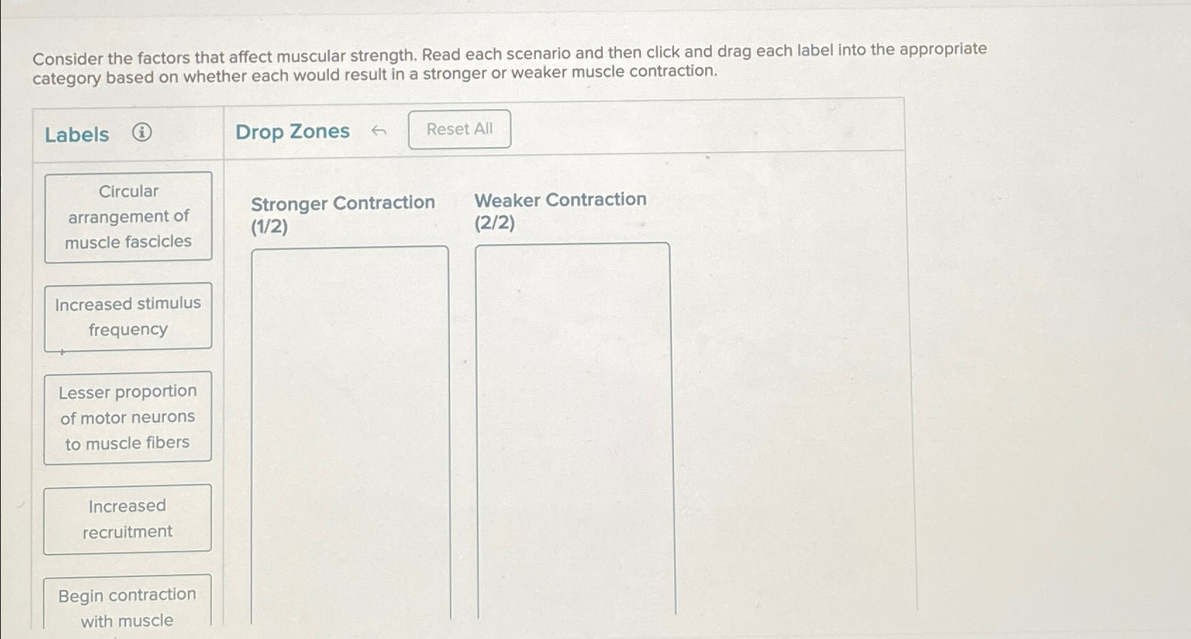 Solved Consider the factors that affect muscular strength. | Chegg.com