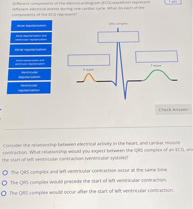 Solved Label the location of the coronary ostia and the | Chegg.com