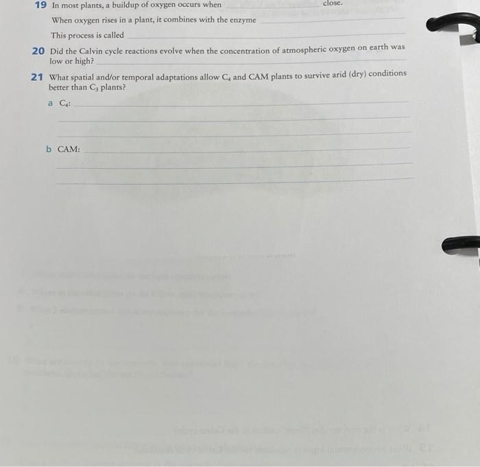 Solved LABORATORY EXERCISE 7 PART B Photosynthesis Worksheet | Chegg.com