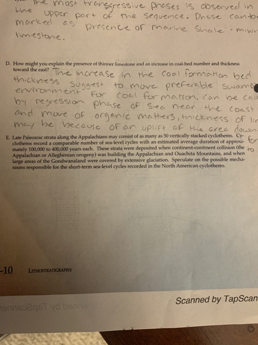 Solved The most transgressive phases is observed in the | Chegg.com