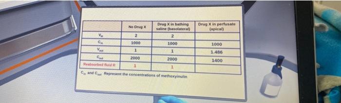 Solved REABSORBED FLUID RATE With Cin X Vin - Cout Vout Then | Chegg.com