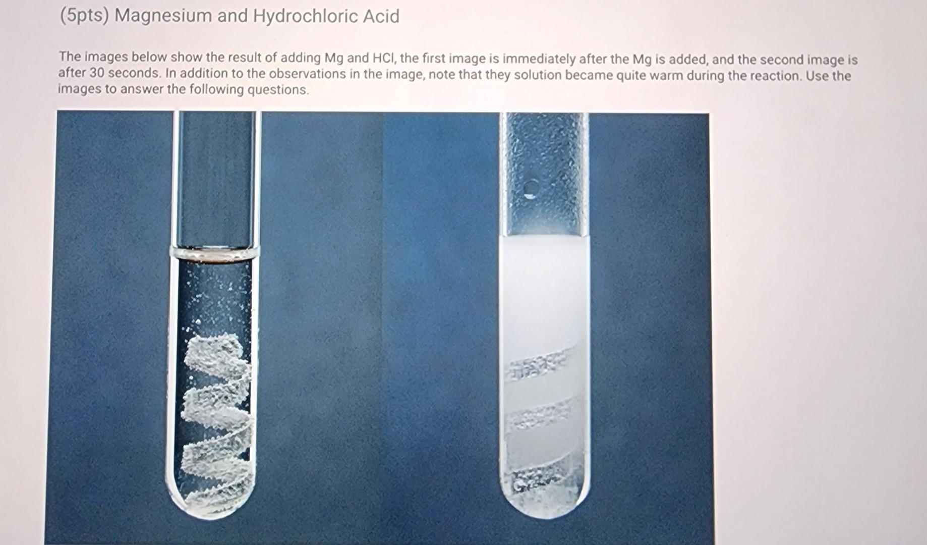 Solved The images below show the result of adding Mg and | Chegg.com
