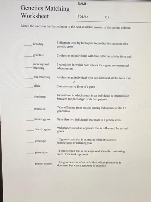 Solved NAME: Genetics Matching Worksheet TOTAL /12 Match the | Chegg.com
