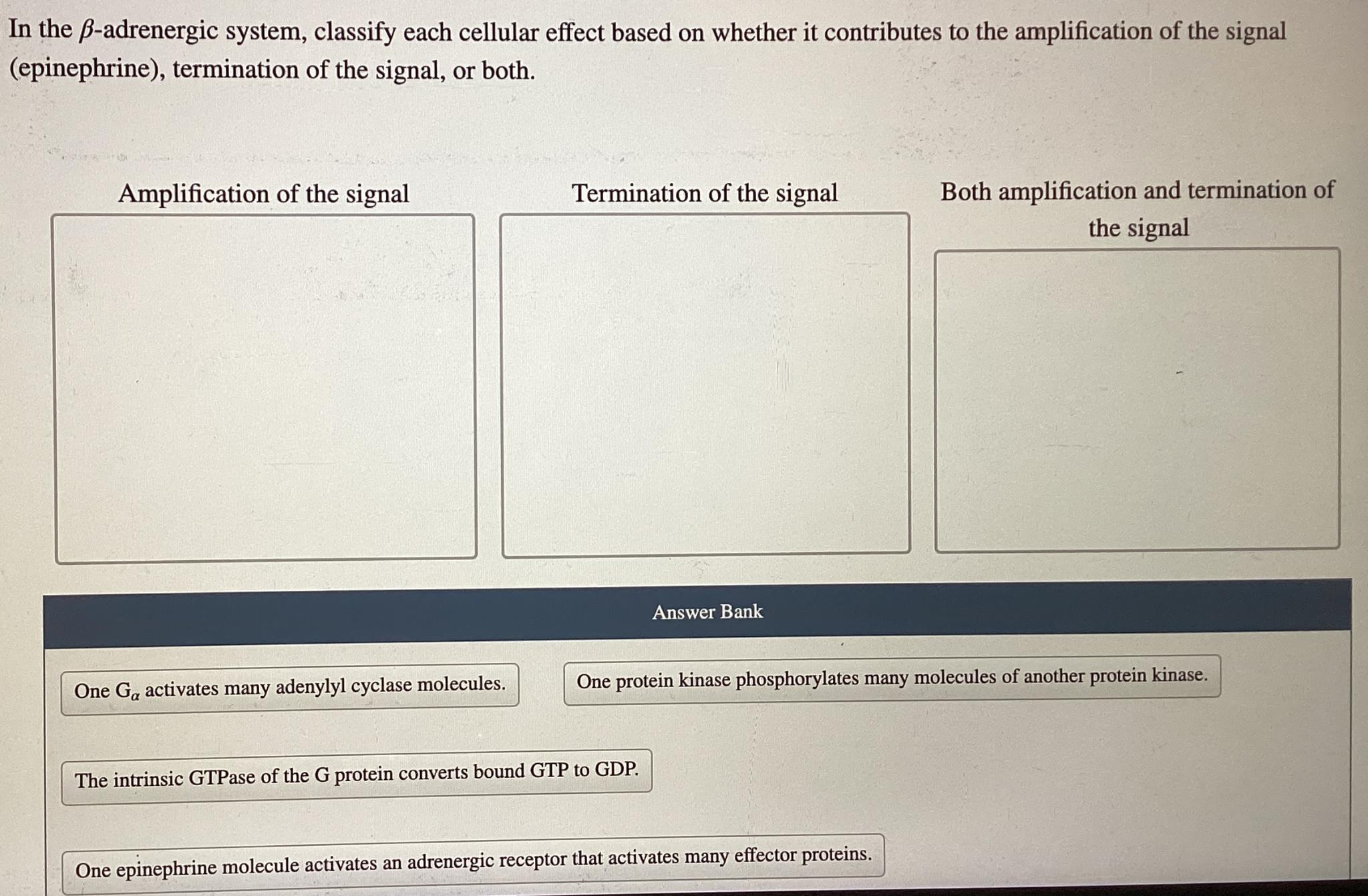 Solved In the β-adrenergic system, classify each cellular | Chegg.com