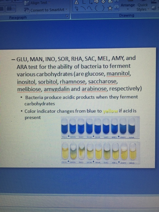 Exercise 8 Use Of The Api 20e System To Identify Gram