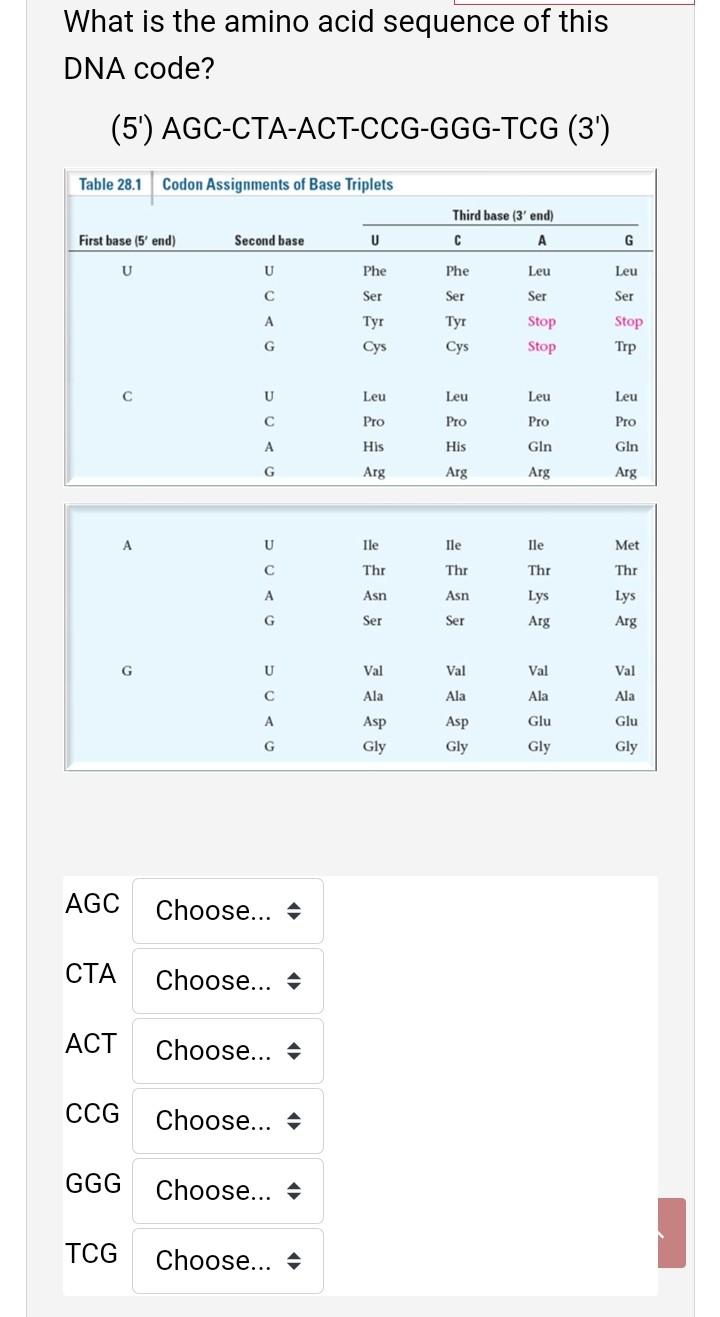 Solved What is the amino acid sequence of this DNA code? | Chegg.com