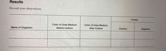 Solved EXPERIMENT 18.1 The Activity of Urease Some bacteria | Chegg.com