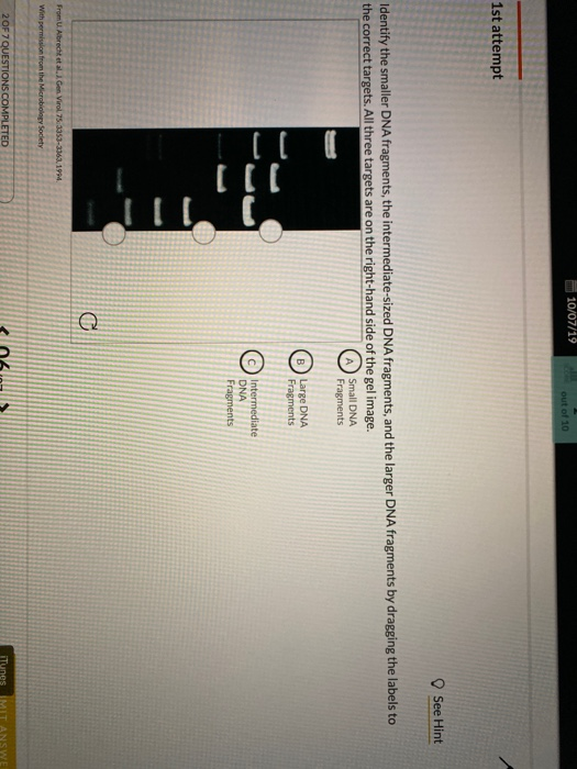 Solved 10/07/19 out of 10 1st attempt See Hint Identify the | Chegg.com