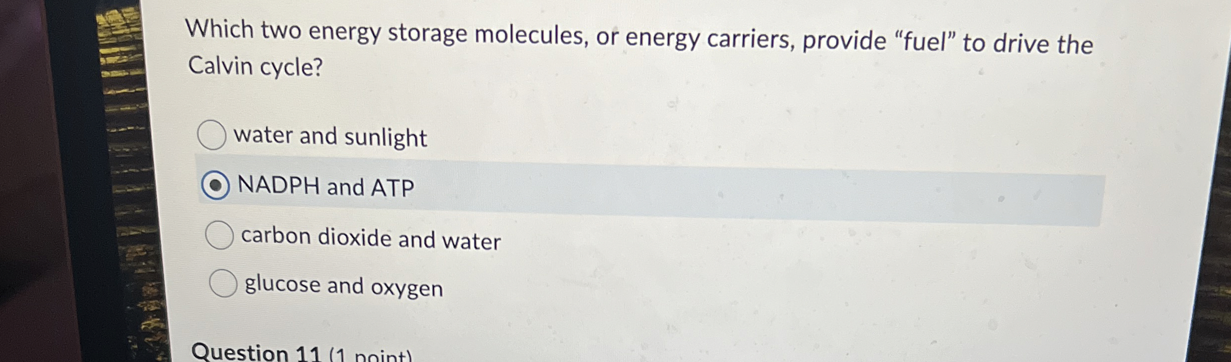 Solved Which two energy storage molecules, or energy | Chegg.com