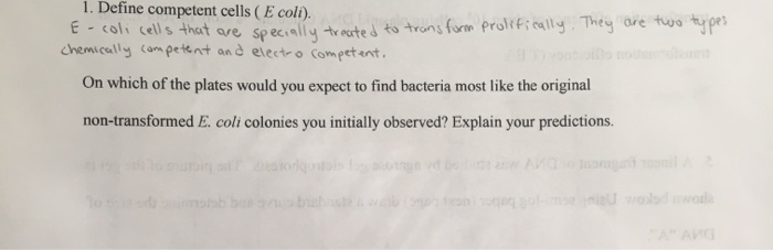 Solved 1. Define competent cells ( E coli). E-coli cells | Chegg.com