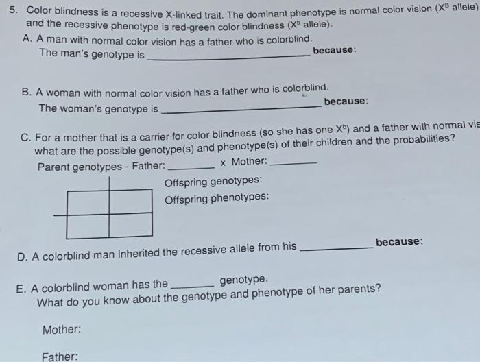 Solved 5. Color blindness is a recessive X-linked trait. The | Chegg.com