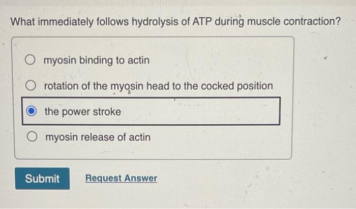 What immediately follows hydrolysis of ATP during | Chegg.com