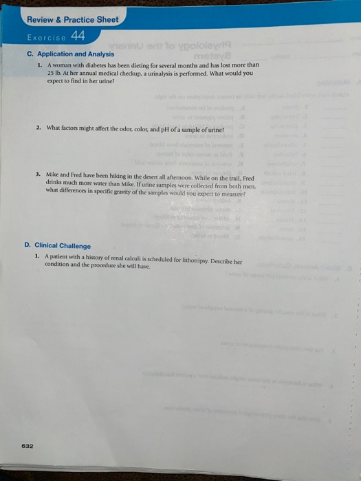 Solved Review & Practice Sheet Exercise 44 C. Application | Chegg.com