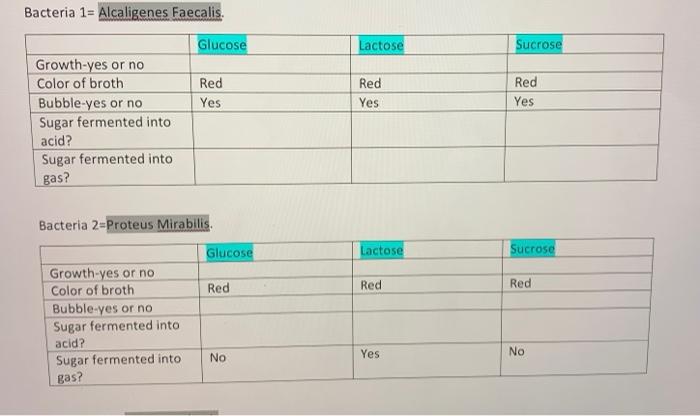 Solved Bacteria 1- Alcaligenes Faecalis. Growth-yes or no | Chegg.com
