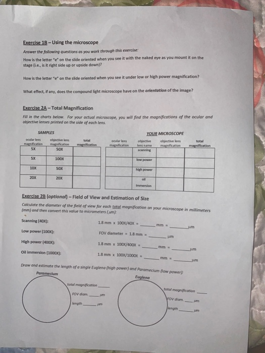Solved Exercise 18 - Using the microscope Answer the | Chegg.com