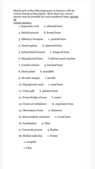 Match each of the following bones or features with | Chegg.com