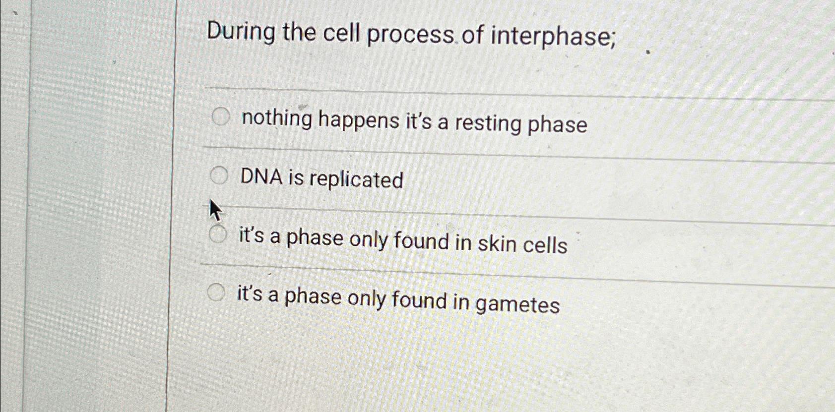 Solved During the cell process of interphase;nothing happens | Chegg.com