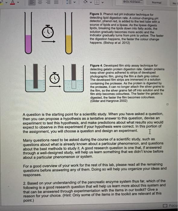Solved == BIOL 1020ass Normal ! No HO Figure 3. Phenol red | Chegg.com