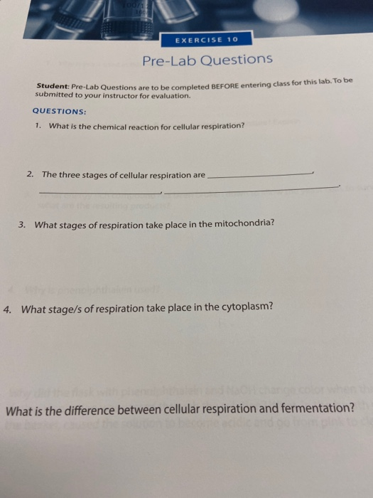 Solved EXERCISE 10 Pre-Lab Questions Student: Pre-Lab | Chegg.com