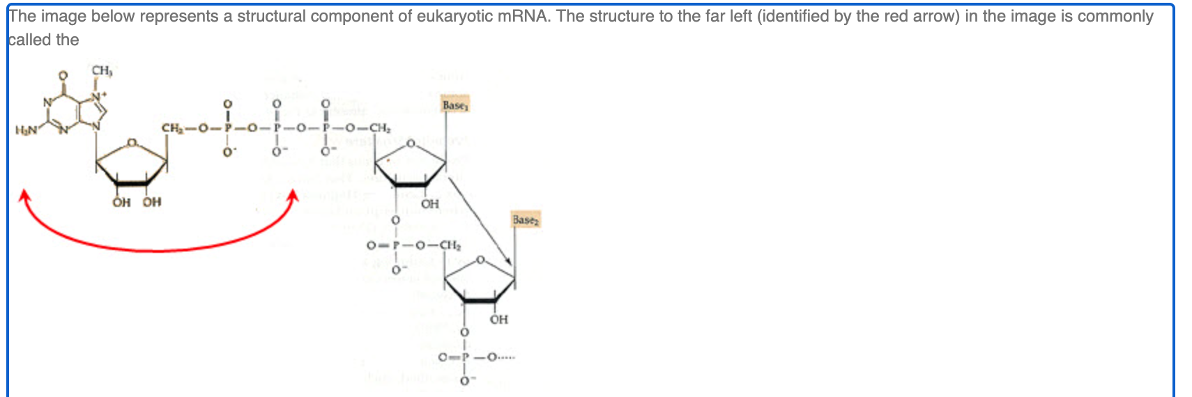 Solved The image below represents a structural component of | Chegg.com