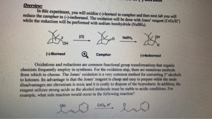 Solved Discussion Questions: 1: In the oxidation reaction, | Chegg.com