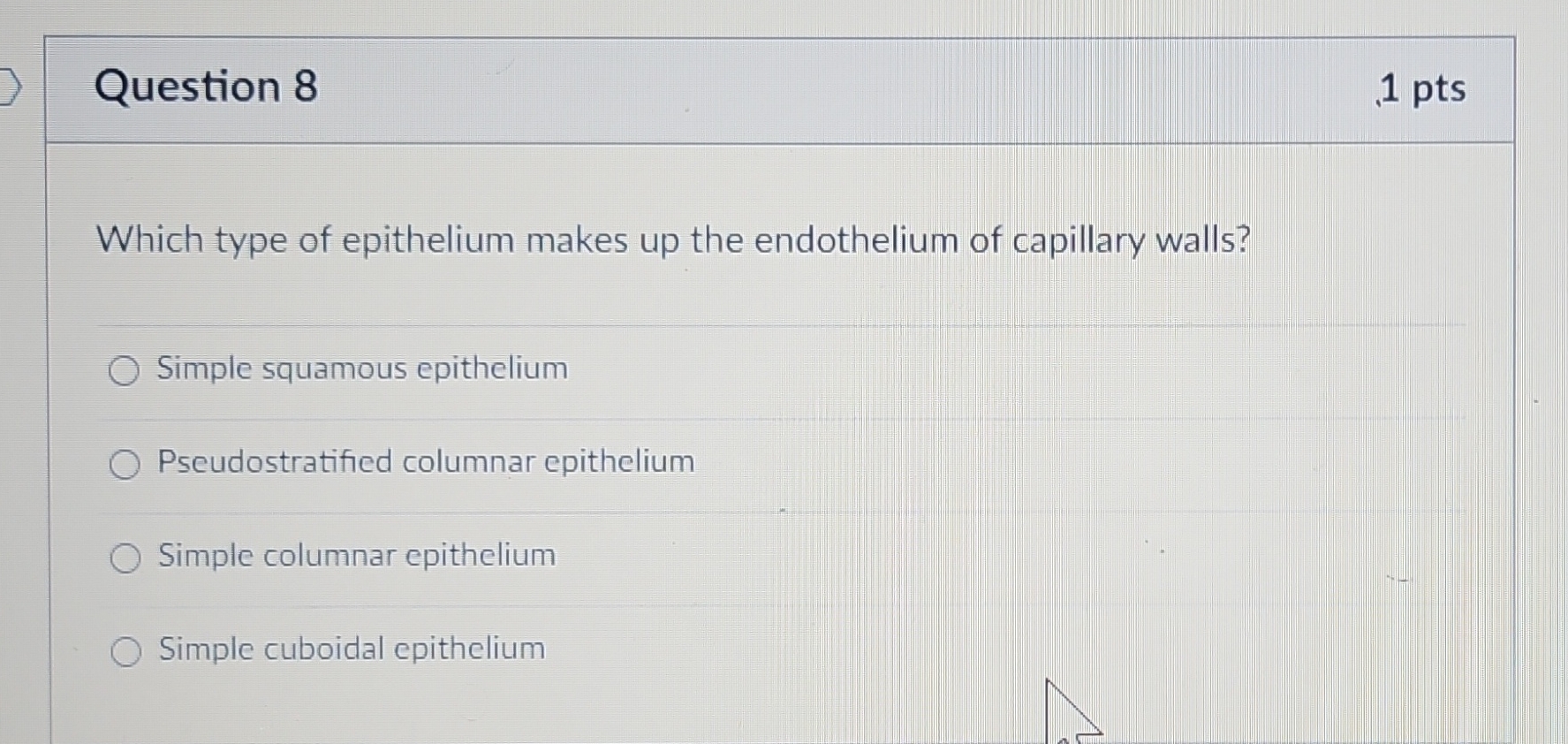 Solved Question 81 ﻿ptsWhich type of epithelium makes up the | Chegg.com