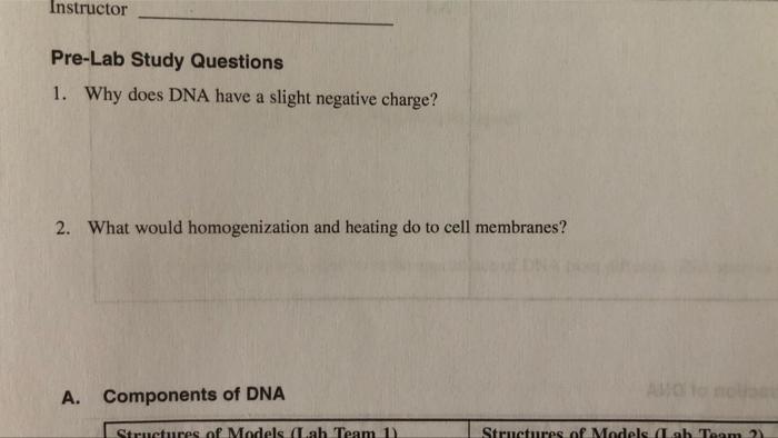 Solved Instructor Pre-Lab Study Questions 1. Why does DNA | Chegg.com Solved Instructor Pre-Lab Study Questions 1. Why does DNA | Chegg.com