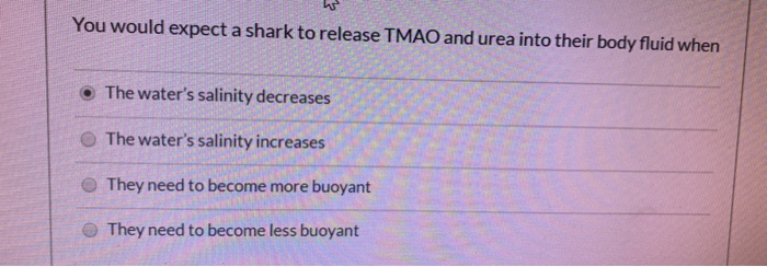 Solved You would expect a shark to release TMAO and urea | Chegg.com